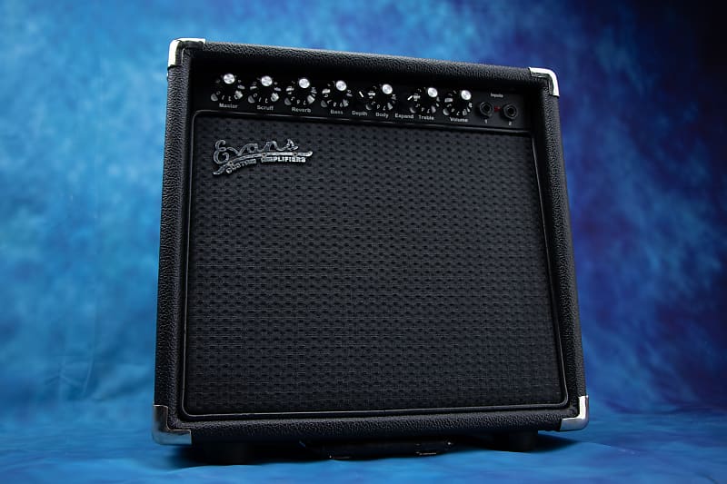 Evans Custom Amplifiers AE100 2003 - Black w/ Evans Cover | Reverb