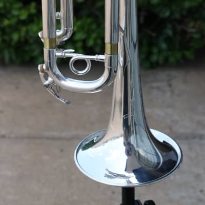 BAC Musical Instruments Handcraft Series Paseo Professional | Reverb