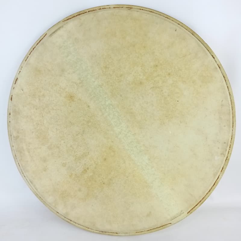 Wilson 14" Economy Resonant Calf Skin Snare Drum Head | Reverb UK