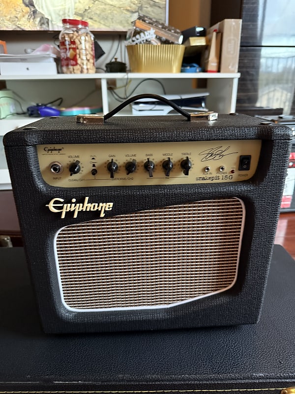 Epiphone Snakepit 15g | Reverb