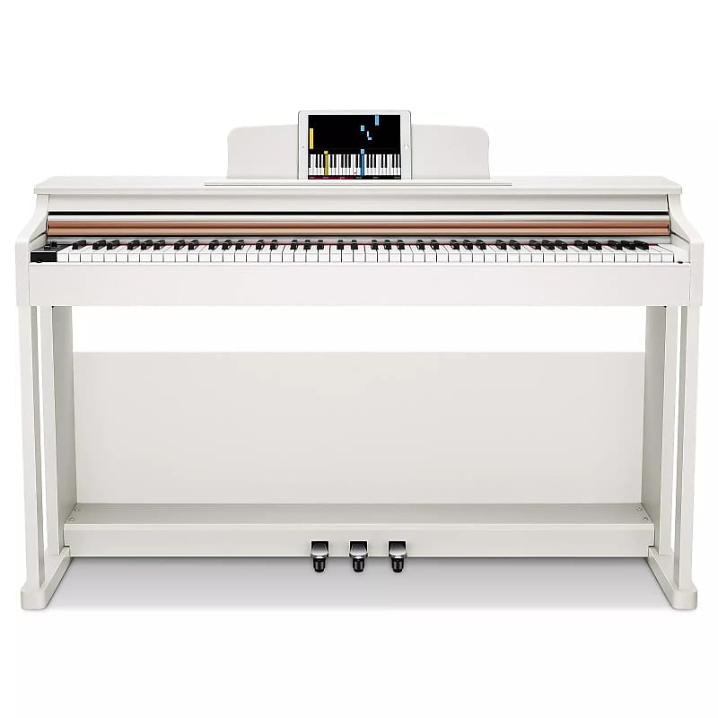 DDP-100 Digital Piano Keyboard – 88-Key Hammer Action with | Reverb