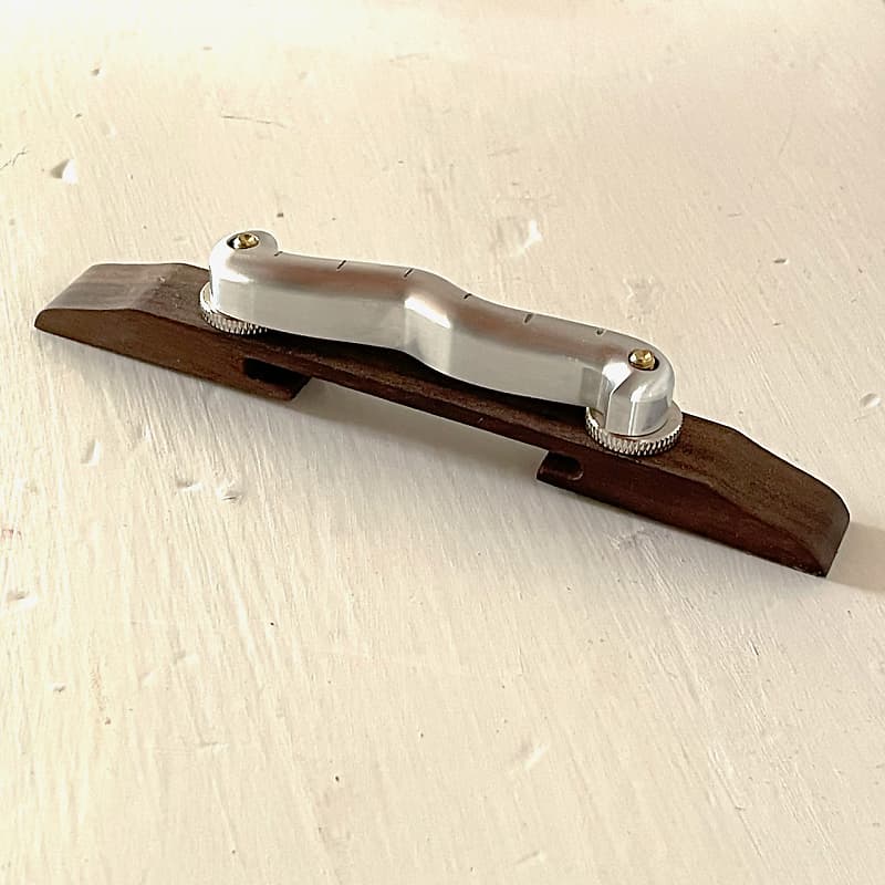 Intonated Raw Aluminum & Rosewood Floating Archtop Guitar | Reverb