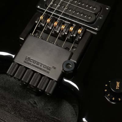 Carvin Carvin Custom Shop HH1 Headless Allan Holdsworth | Reverb