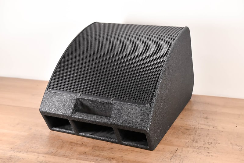 Radian APEX-1500 15" Coaxial 500W Two-Way Stage Monitor | Reverb