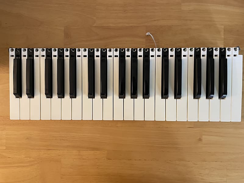 Moog Sub37 Tribute Edition OEM Fatar Keybed | Reverb