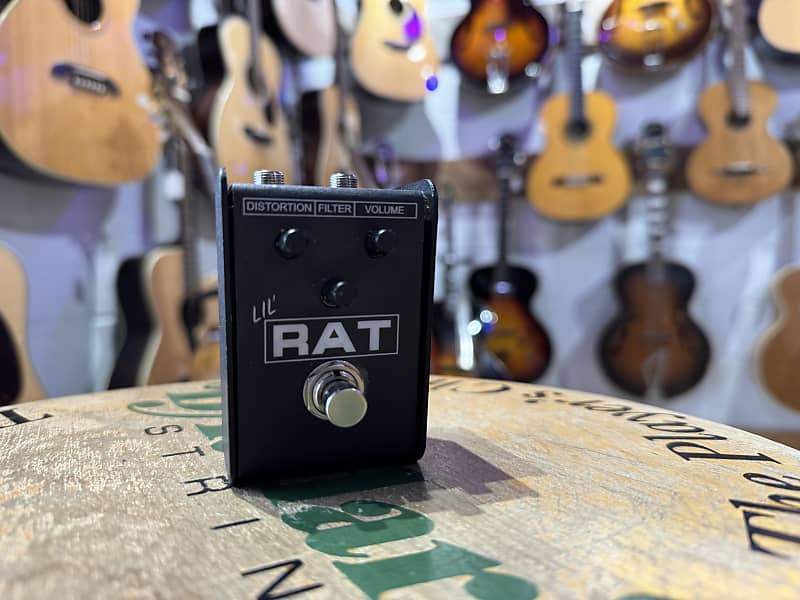 ProCo Lil Rat 2021 - Black | Reverb