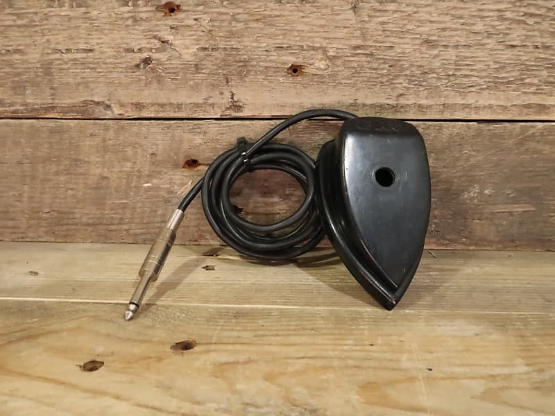 EKO Empty Footswitch Case | Reverb