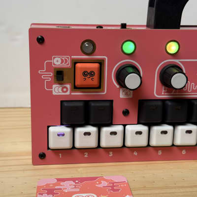 Chompi Super limited Pink | Reverb