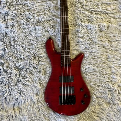 Spector Bantam 4, Short Scale Bass - Black Cherry | Reverb