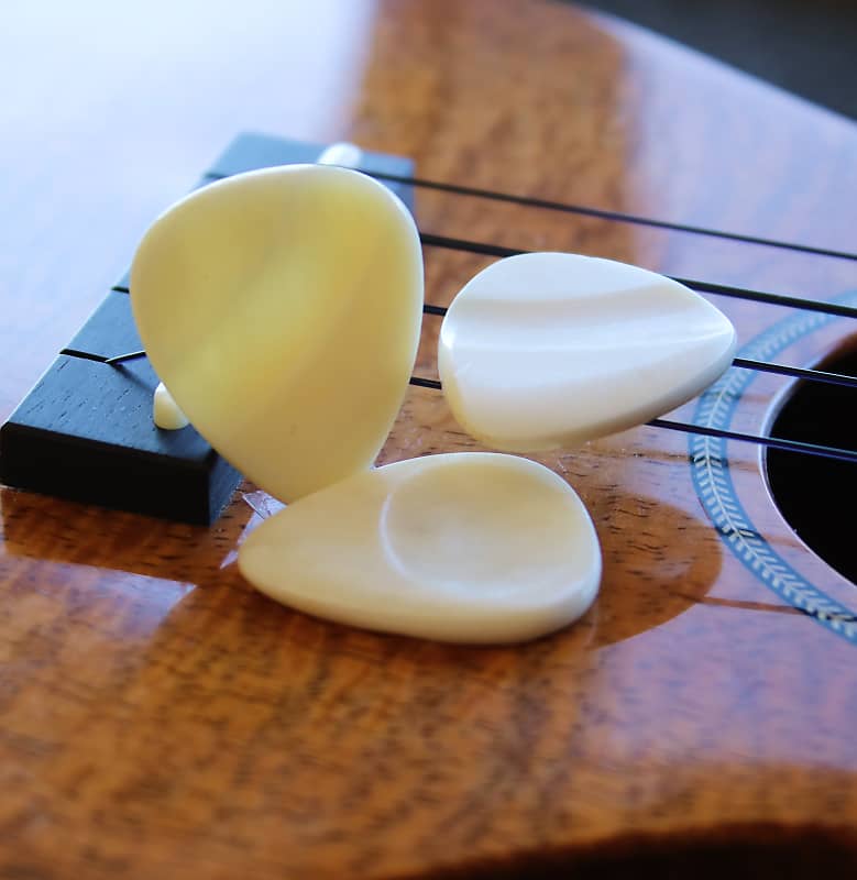 Dell Arte Ergonomic Bone Maxi pick GP-2055 Set of 3 picks | Reverb