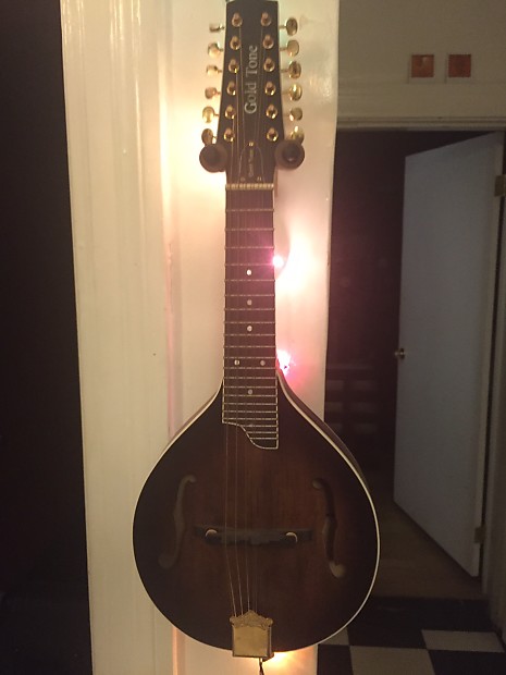 Gold Tone GM-12 12 String Mandolin | Reverb