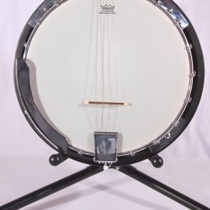 Trinity River Tenor 4 String Banjo | Reverb