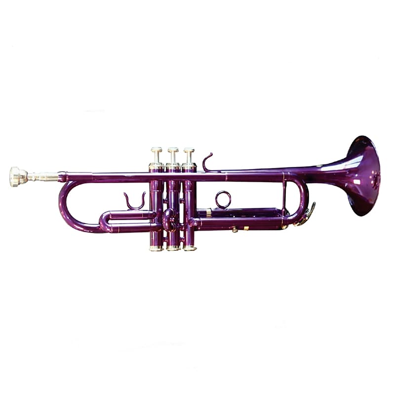 Oxford Silver Plated Colored Trumpet Purple | Reverb