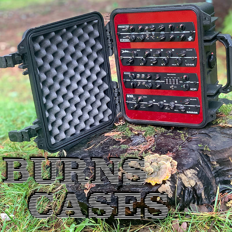 Burns Delta Model 4 Slot Case, Red Sparkle, Synergy MTS | Reverb