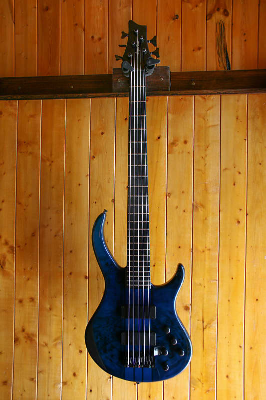 Inyen IBP-500 5 String Bass Guitar - Trans Blue *Showroom | Reverb