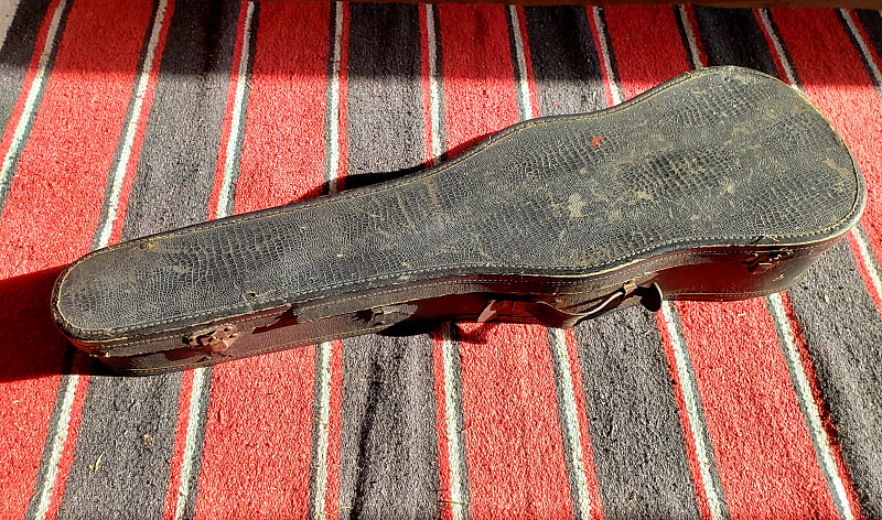Geib - G&S Challenge Violin/Fiddle case Black Alligator | Reverb