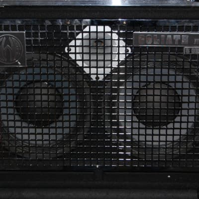 SWR Goliath Jr 2X10 Bass Speaker Cabinet - 8 ohm | Reverb