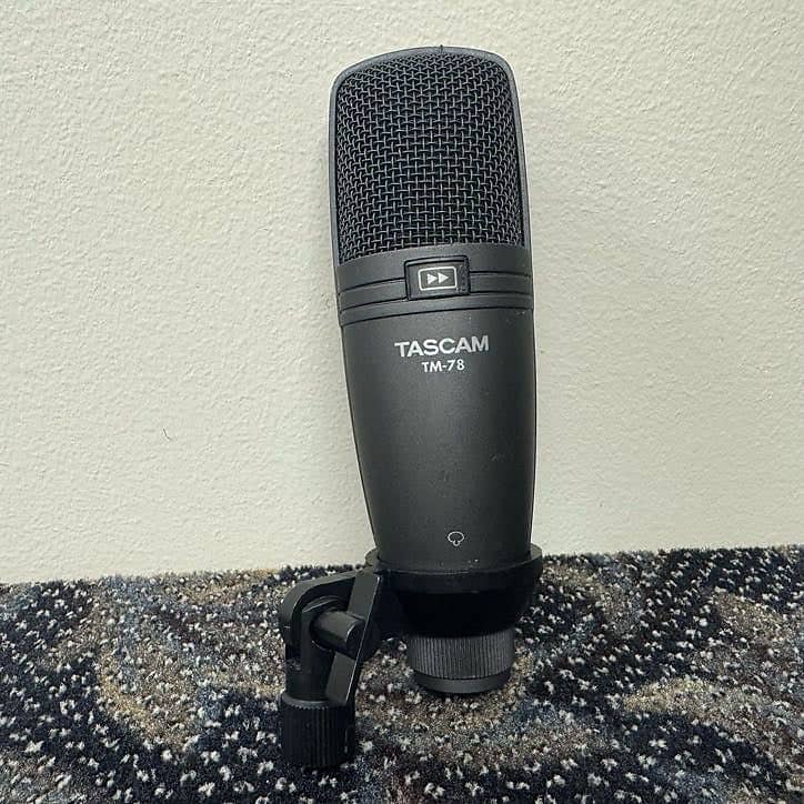 Tascam TM-78 Supercardioid Large Diaphragm Condenser Mic | Reverb