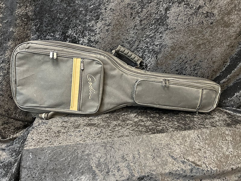 Godin Soft shell guitar case (Nashville, Tennessee) | Reverb