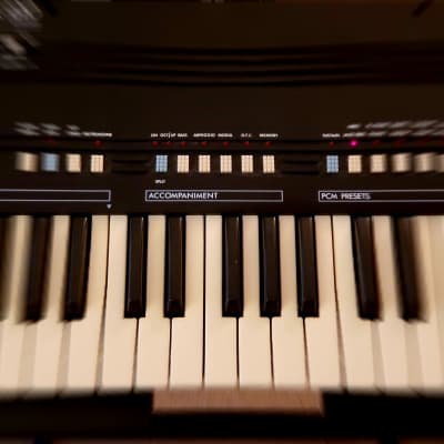 SIEL MK610 (ULTRA RARE) 1980's ITALIAN ANALOG SYNTHESIZER IN | Reverb