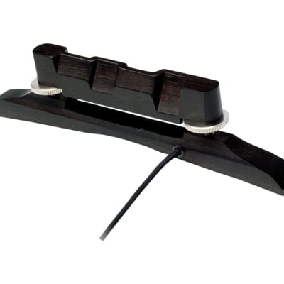 MANDOLIN KIT, DIY F5 Archtop 2009 unfinished | Reverb