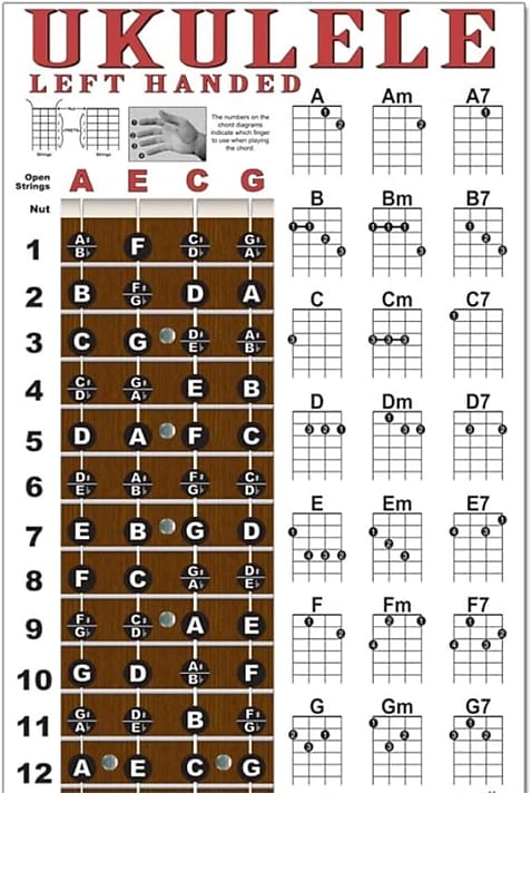 Left Handed Ukulele Fretboard & Easy Beginner Chord Chart | Reverb