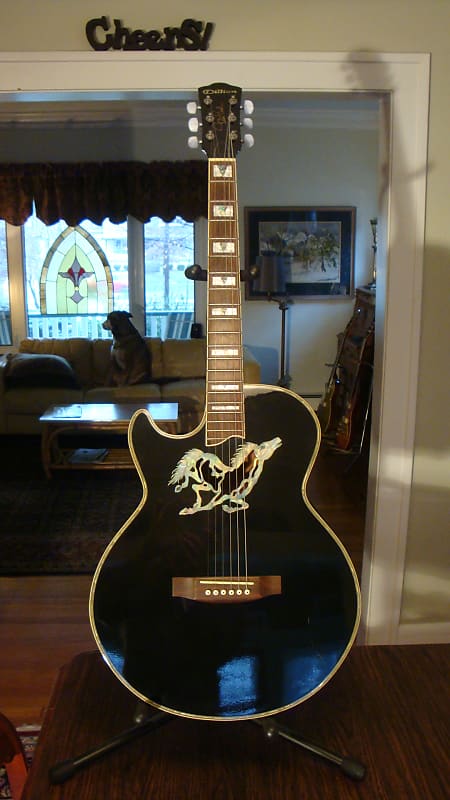 Dillion Left Handed Eddie Bush Acoustic Electric 1990s Black | Reverb