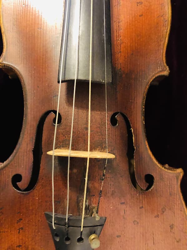 Italian labeled violin MARCUCCI CUSTODE 4/4 | Reverb