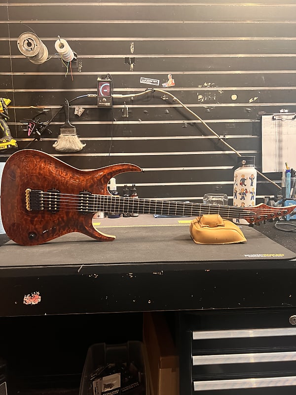 Aviator Guitars Predator 2023 - Gloss | Reverb