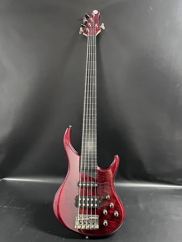 MTD Fretless 5 String | Reverb