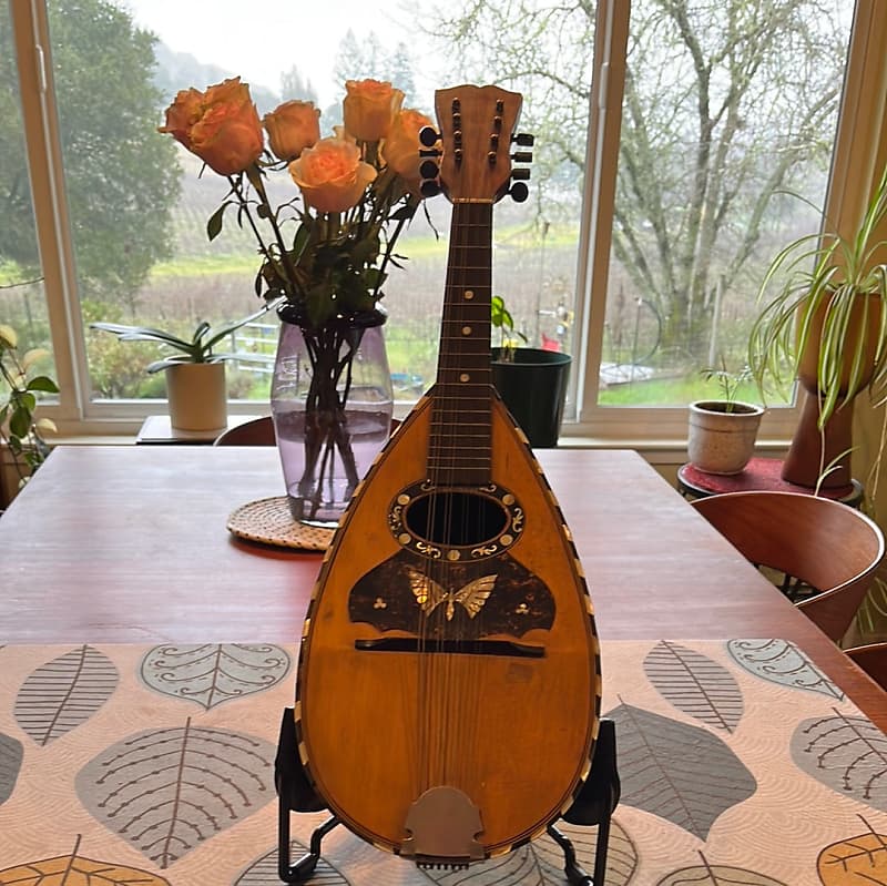 1940's Vintage Bowl Back Mandolin | Reverb