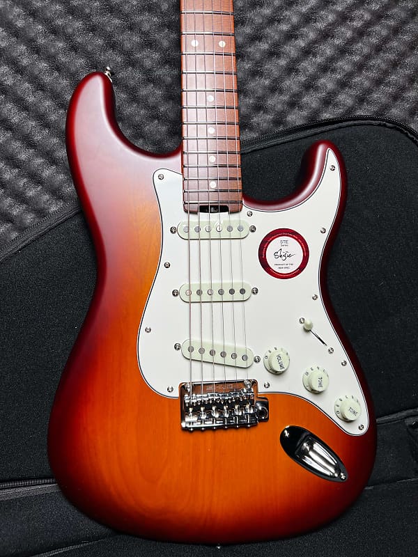 Shijie STE Pro custom Stainless frets 1pc dark roasted | Reverb UK