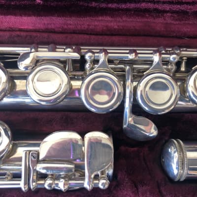 Buffet Crampon Flute w/Case | Reverb