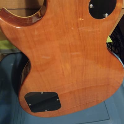 Artist Series Adventure Time Guitar RARE ASG | Reverb