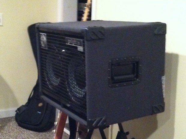 SWR Golight Jr. 210 | Reverb