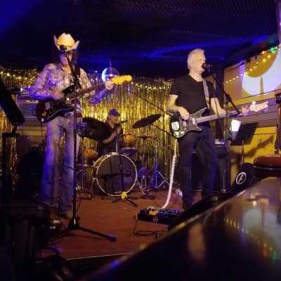 Nordstrand Acinonyx Short Scale Bass w/Original Gig Bag - | Reverb