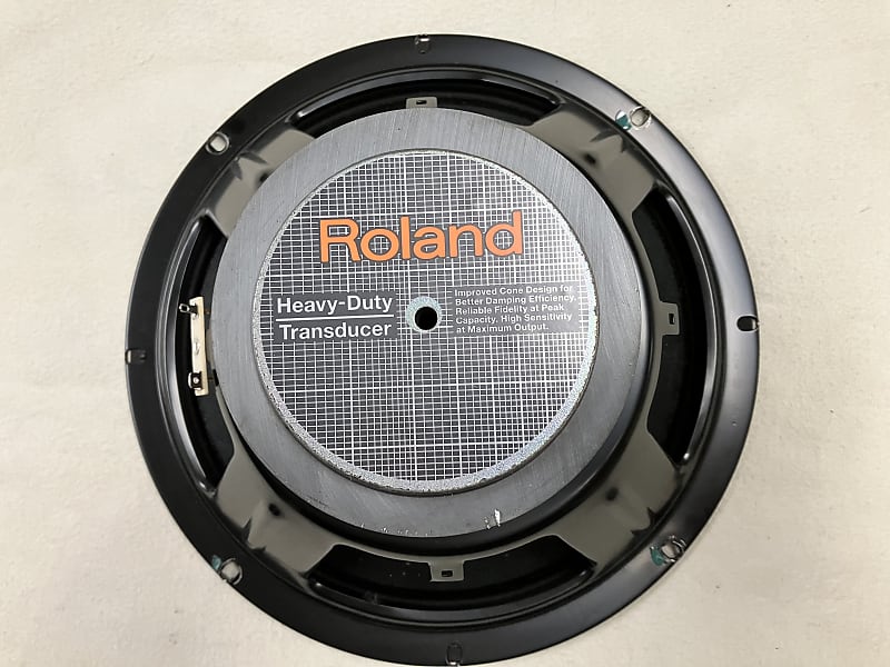 Roland 10" Speaker 2020s (3 of 3 available) | Reverb
