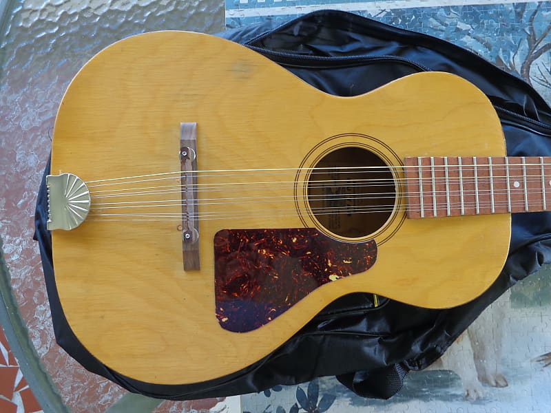 1960's Jackson Guldan Cittern - 10 Strings in B Tuning - | Reverb