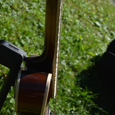 Bulas F5 mandolin 2022 - sunburst / pickup | Reverb