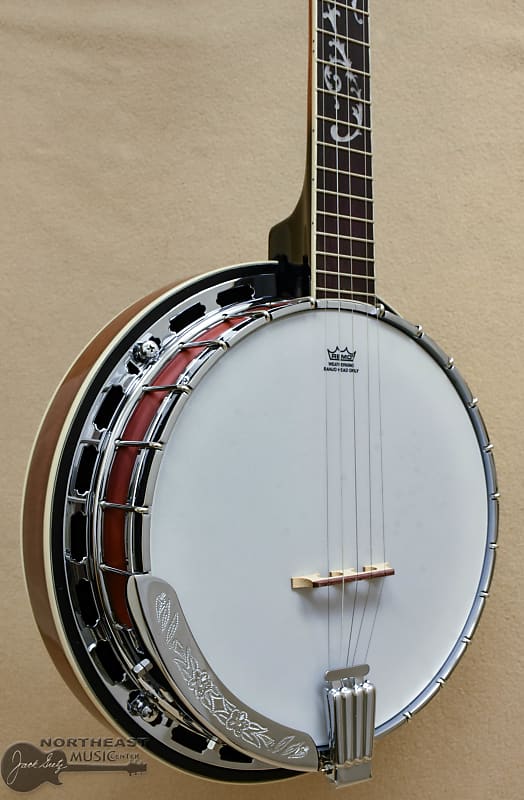 Ibanez B200 5-String Banjo Natural Closed Back | Reverb
