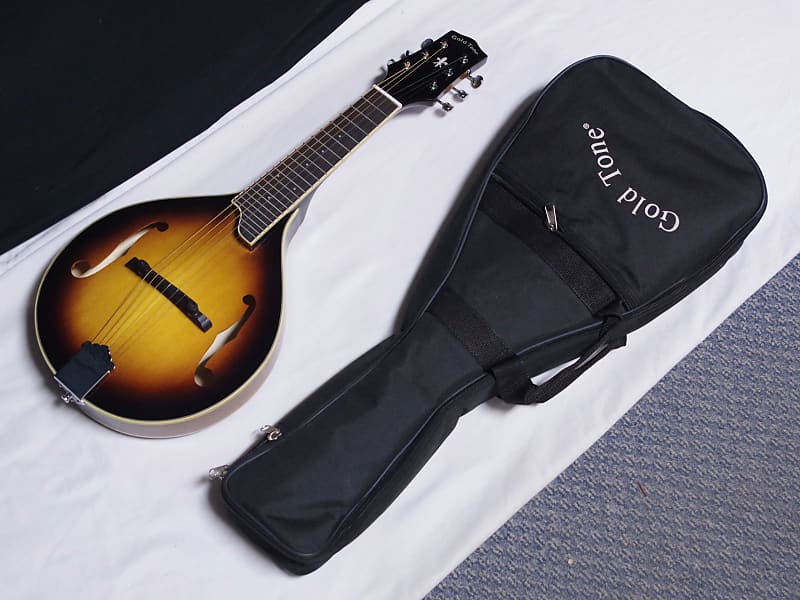 GOLD TONE GM-6 6-string Mandolin style GUITAR new GM6 Solid | Reverb