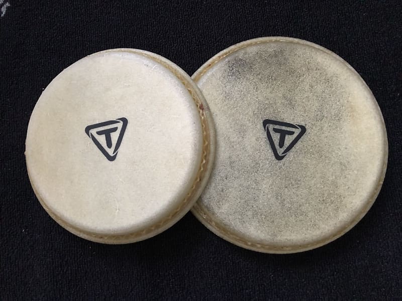 Tycoon Master Classic Series Bongo Heads Genuine Water | Reverb