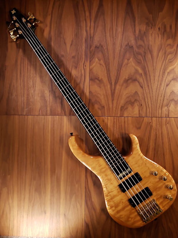Modulus Quantum 5, Carbon Fiber Neck, Maple Top, Bartolini | Reverb