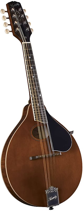 Kentucky, 8-String Mandolin, Transparent Brown (KM-276) | Reverb