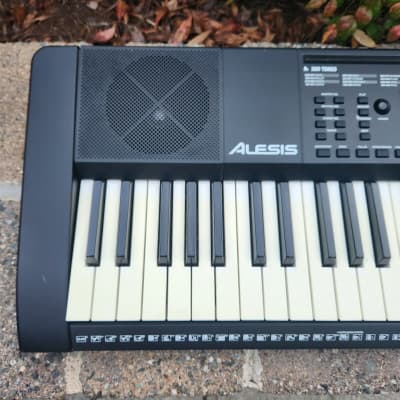 Alesis Melody 61-300 Rhythm Keyboard W/Power | Reverb