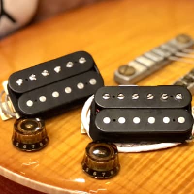 PRS 250 Pickups high output with Treble coil | Reverb Deutschland