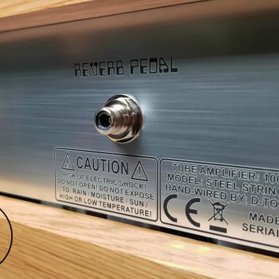 D-Tone Amps D-Tone Amps SSS head (Dumble Steel String Singer | Reverb