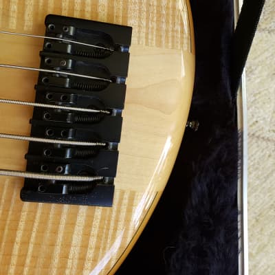 Carvin Icon 5 String Bass | Reverb