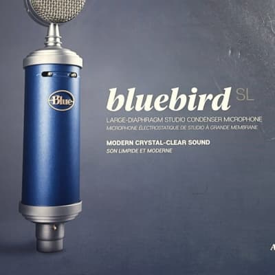 Blue Bluebird SL Studio Condenser Microphone | Reverb