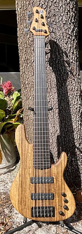 Tom Clements Custom Basses Kim 2021 - Oil stain | Reverb